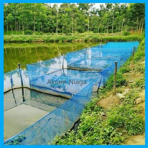 ♕jaring Asuhan Pukat Sangkar Net Hapa Biru Benih Ikan Lazada