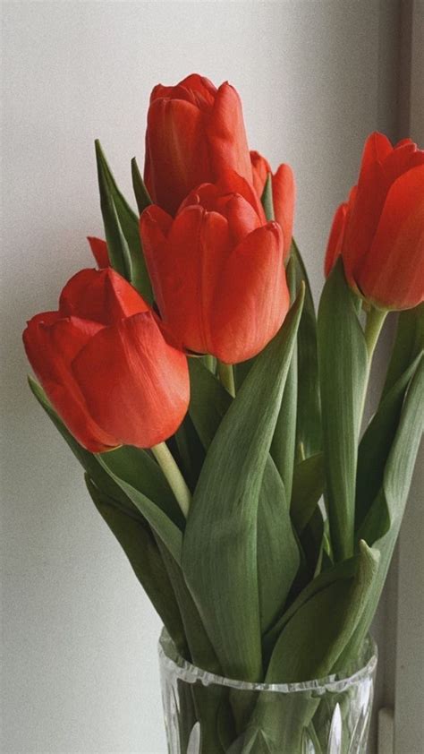 감성 꽃🌼 아이폰 배경화면 모음 네이버 블로그