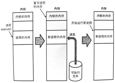 用于创建进程的 Fork 和 Execve 函数 Paopaos Blog