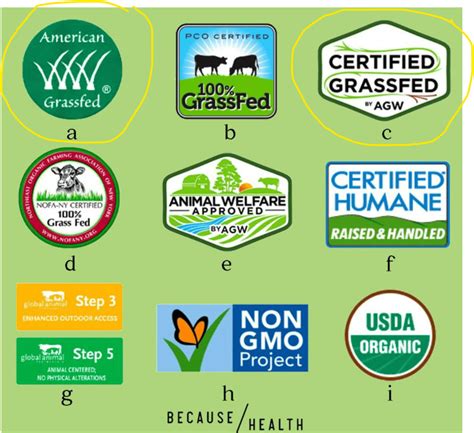 Grass Fed Vs Organic Beef Whats The Trade Off Subscriboxer