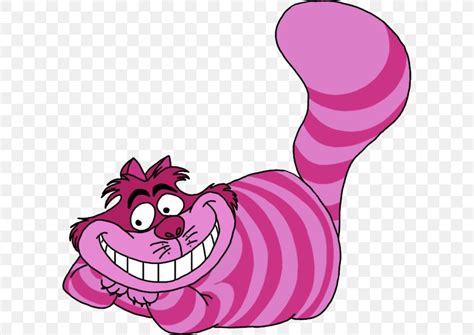 Alice In Wonderland The Mad Hatter Alices Adventures In Wonderland