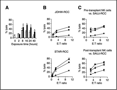 Figure 2 From Bortezomib And Depsipeptide Sensitize Tumors To Tumor