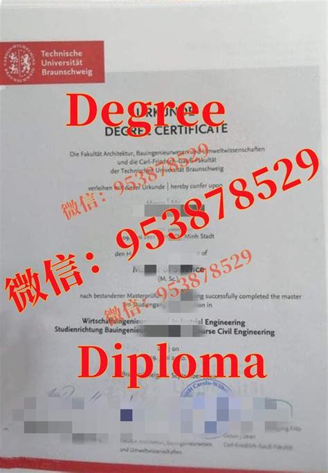 海牙认证材料tubs成绩单 微953878529 留服认证布伦瑞克工业大学毕业证书tubs硕士成绩单文凭证书学生卡学位认证 By Safg6