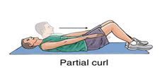 Back Core Exercises Harbour Sport
