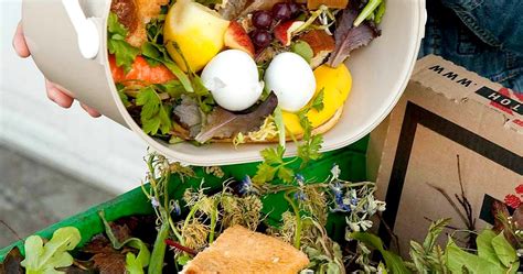 Comment réussir le recyclage de vos déchets Graine verte