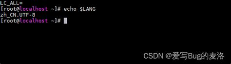 Linux中文显示乱码问题 Csdn博客
