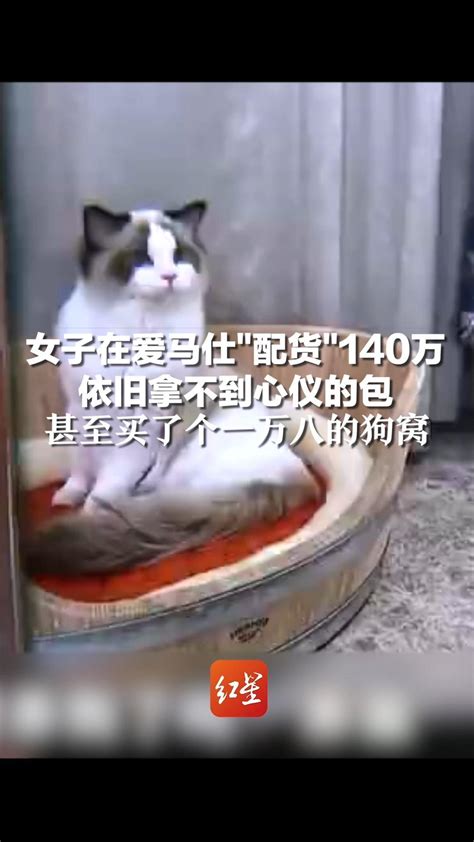 女子在爱马仕“配货”140万，依旧拿不到心仪的包，甚至买了个一万八的狗窝凤凰网视频凤凰网