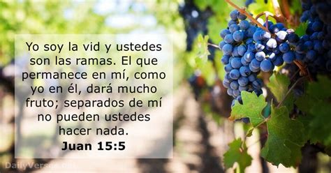 Juan Vers Culo De La Biblia Dailyverses Net