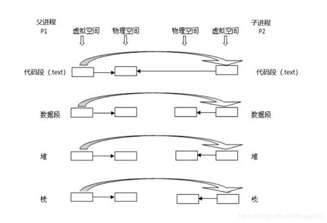 Linux多进线程编程（2）—— Fork函数和进程间“共享”数据 胖白白 博客园