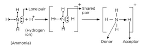 Expanded Octet Archives The Fact Factor