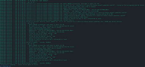 Issue With Setting Up Powerdns Authoritative And Recursor Rselfhosted