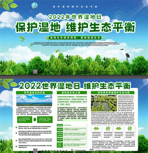 世界湿地日保护湿地大自然环保海报psd下载编号763917684822907110 设图网