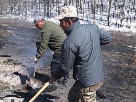 Нийслэлийн ногоон бүс зуслангийн чиглэлд хуурайшилт ихтэй түймэр гарах эрсдэлтэй байна