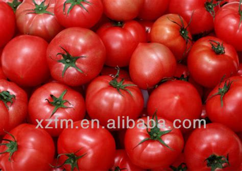 Halal Tomato Ketchup Factory Sachet Packing 70g High Quality Halal