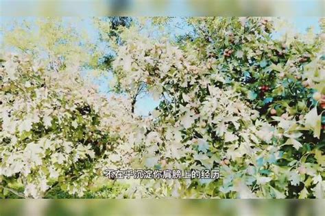 天津东疆亲海公园外有一片山楂树看着就不由自主的淌口水