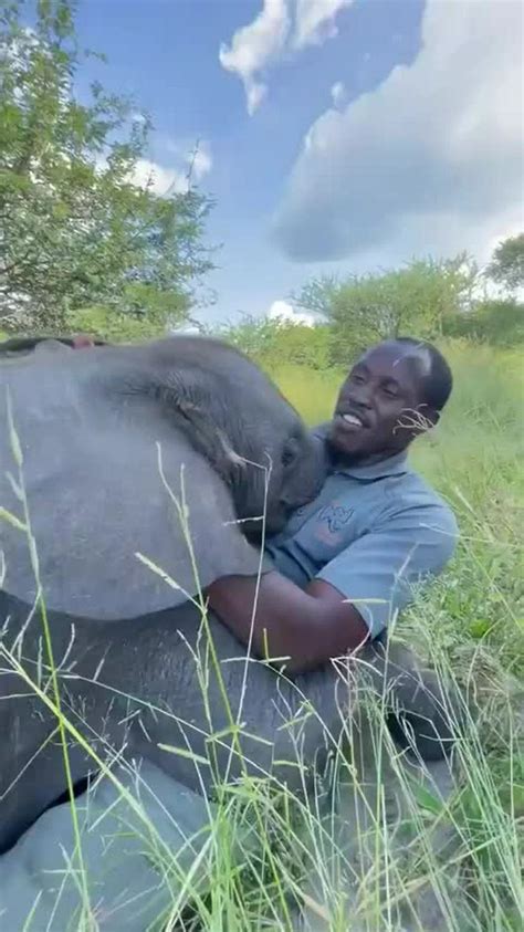 Lap Dog Album On Imgur