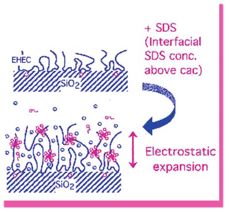 Effect Of An Anionic Surfactant On The Structure Of An Adsorbed Layer Download Scientific
