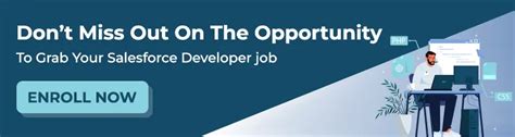 Types Of Govern Limits In Salesforce Salesforce Developer Tutorials
