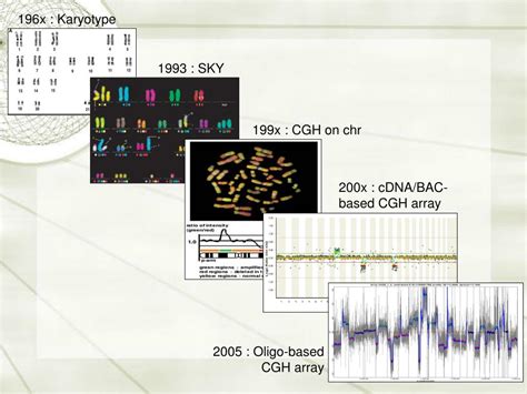 Ppt Array Based Comparative Genomic Hybridization Powerpoint