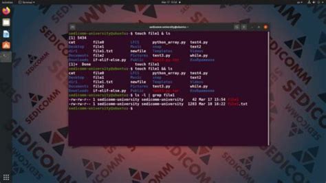 如何在 Linux 中同时执行多个命令，linux 操作系统讲座课程阿拉木图 Cisco Network Academy、linux