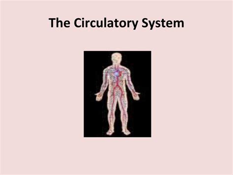 PDF Ppt Circulatory System DOKUMEN TIPS