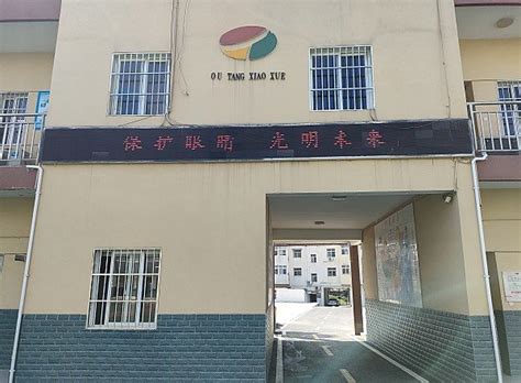 “呵护眼睛 光明未来”——定远县藕塘小学开展近视防控宣传教育月活动凤凰网安徽凤凰网