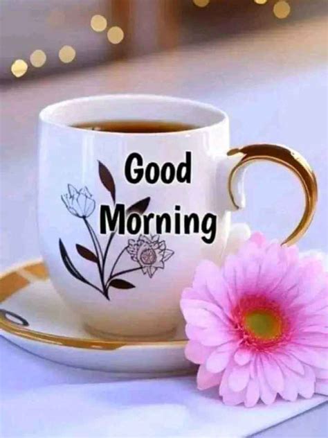 ☕ ચા કોફી Images • Nilesh Thakkar 413047 On Sharechat