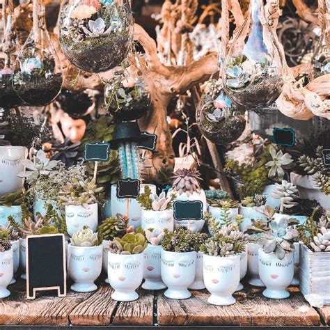 Hoy En Nuestro Blog Te Contamos Todo Sobre Los Regalos Eco Para Los