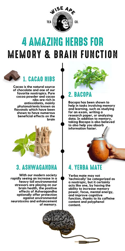 Natural Herbs For Brain Health Memory And Cognitive Function In