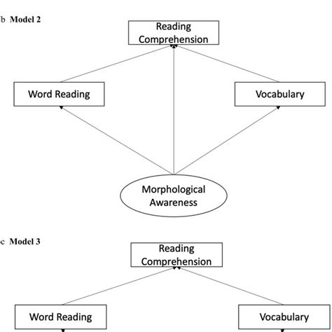 Alternative Models For The Relations Among Morphological Awareness