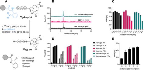 A Reaction Scheme Of Prototype Solid Phase Model Construct Designed Download Scientific