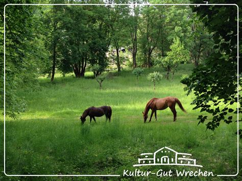 Helene Grese Wierna Siostra Wywiad Z 1987 Roku Textde