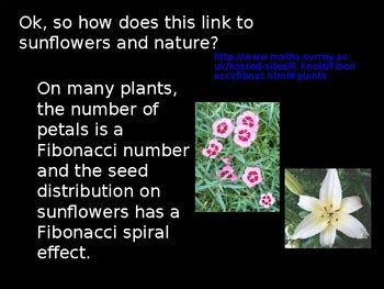 Fibonacci Sequence By Loka Zone Lake TPT