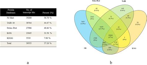 Statistics Overview Of Functional Annotations A Functional Download Scientific Diagram