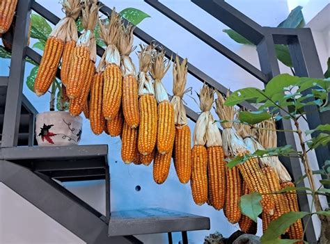 Mèn Mén Là Gì Tìm Hiểu Về Món ăn độc đáo Của Người Hmông