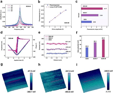 高达97027！师从陈创天院士，地大「四青人才」黄洪伟，新发am！ 华算科技