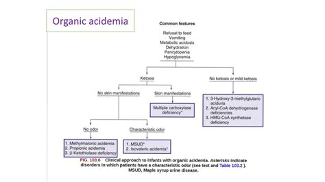 Approach To Inborn Errors Of Metabolism Pptx