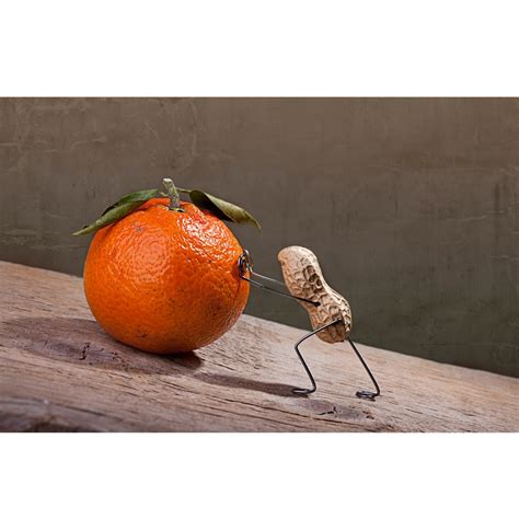 The Gravity Very Important Questions About Newtons Third Law The Law Of Action And Reaction