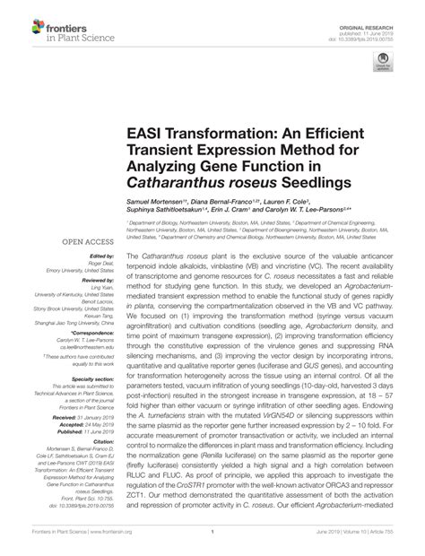 Pdf Easi Transformation An Efficient Transient Expression Method For