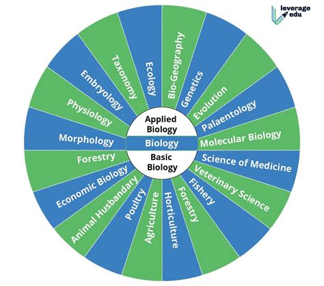 Branches Of Biology A To Z 100 Biology Branches Significance