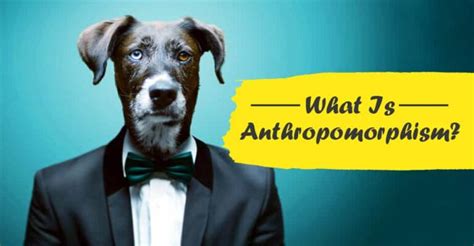 5 Intriguing Examples Of Anthropomorphism Across Different Cultures