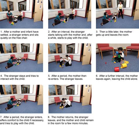 Attachment In The Early Years Figure 10 The Strange Situation Episodes