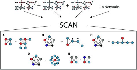 Scan Flow Chart Diagramming The Inputs Index Tests And How The Download Scientific Diagram