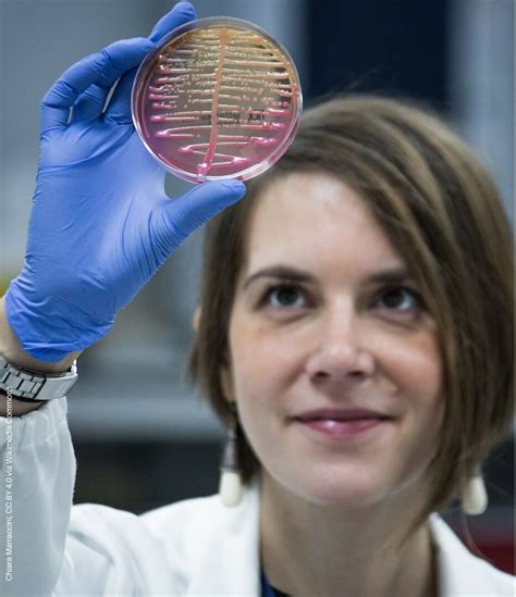 Lateral Flow Immunoassays A New Era Of Amr Detection Una Health