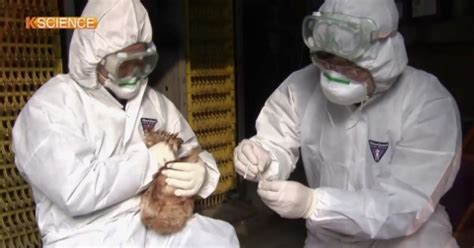 K Science On The Spot Bird Flue Detector