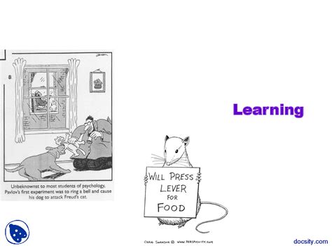 Learning General Psychology Lecture Slides Docsity