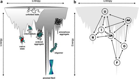 Illustration Of A Combined Energy Landscape For Protein Folding And Download Scientific Diagram