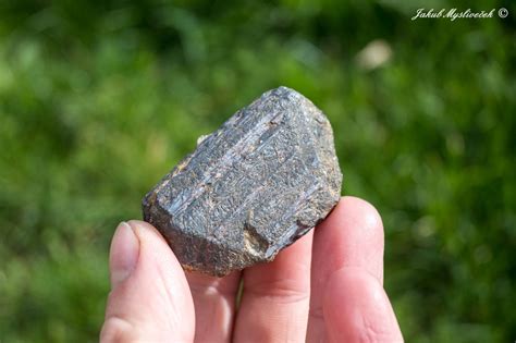 Osobní Stránky Sběratele Minerálů A Zkamenělin Jakuba Myslivečka