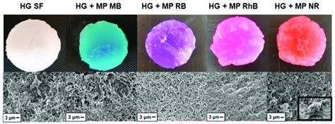 Photographs And Scanning Electron Microscope Sem Fracture Micrographs