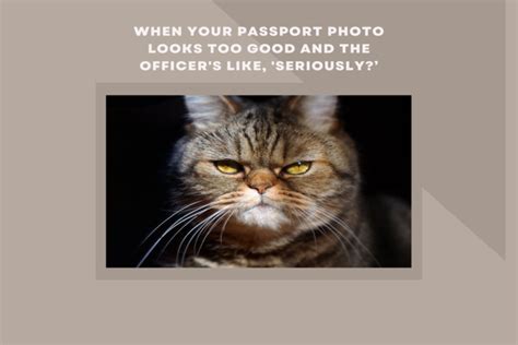 From Passport Mishaps To Lost Luggage Hilarious Memes That Every